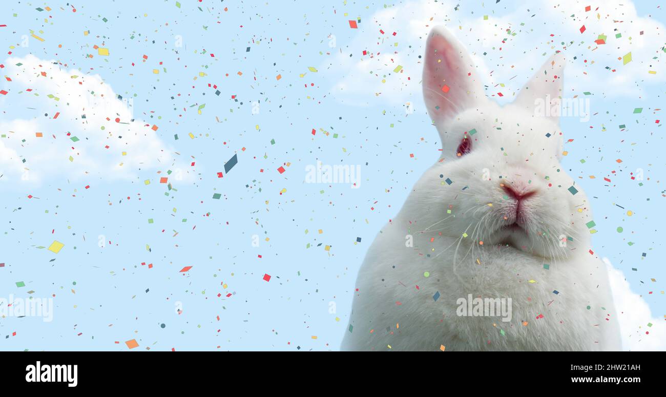 Image of colorful confetti falling over bunny Stock Photo - Alamy