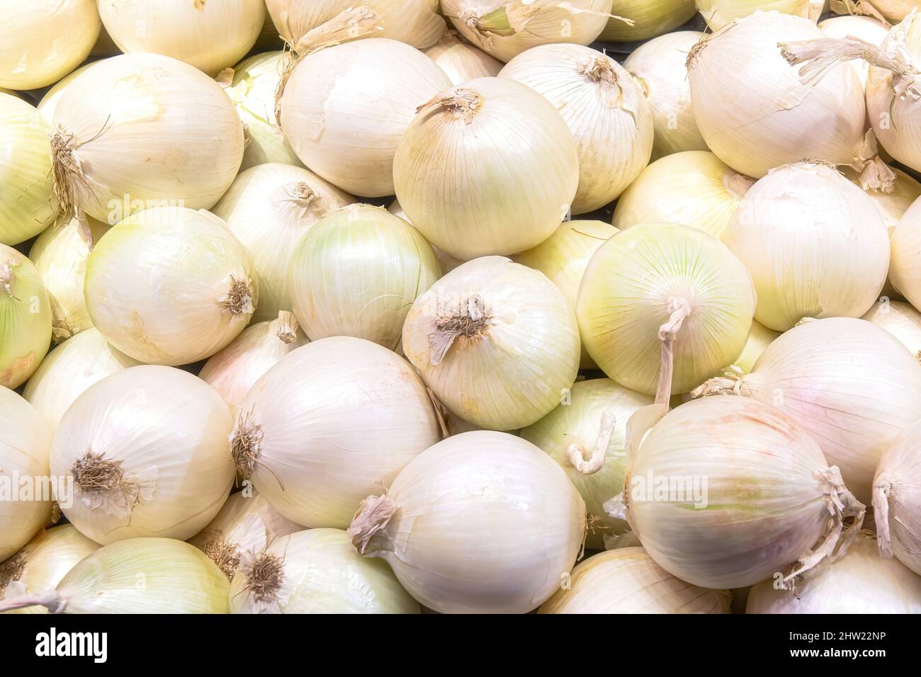 White onions in a store Stock Photo - Alamy