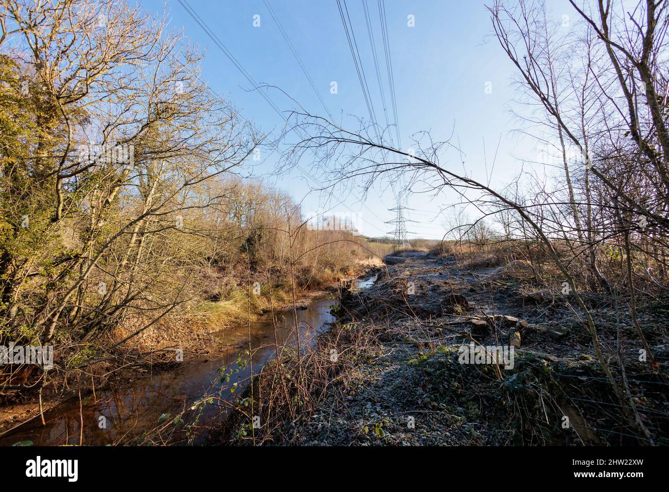 11th Feb 2022: Tyne Riverside Country Park on a sunny winter morning ...