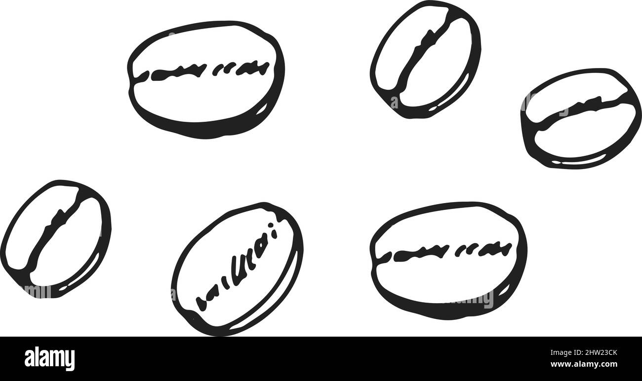 Texture coffee beans in Stock Vector Images - Alamy