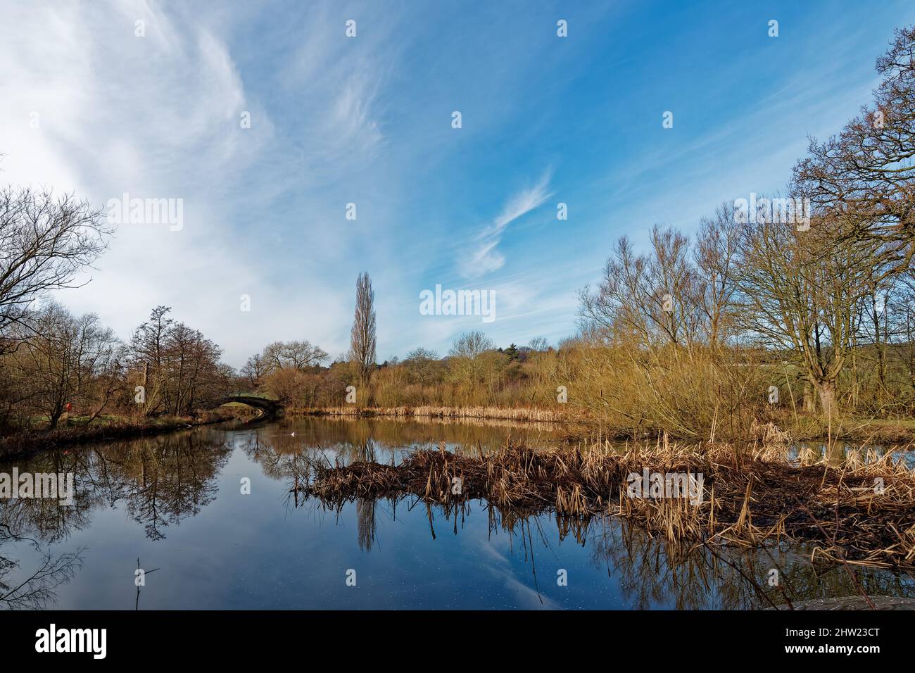 Cannon hall hi-res stock photography and images - Alamy