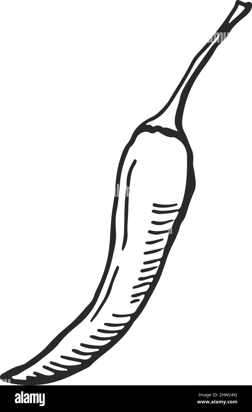 Hot pepper Black and White Stock Photos & Images - Alamy