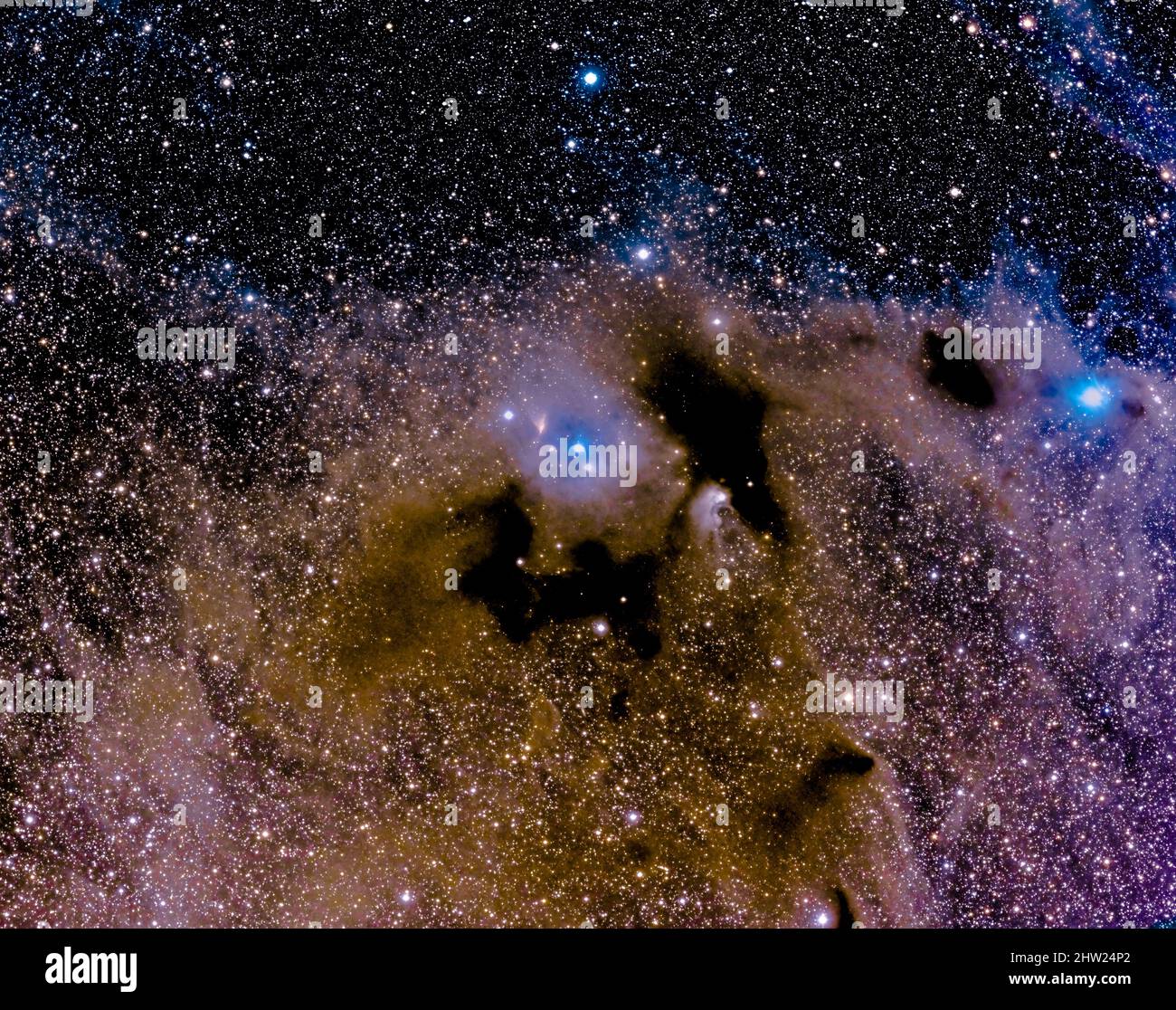 Cederblad 111 (Ced 111) is a blue reflection region in the southern ...