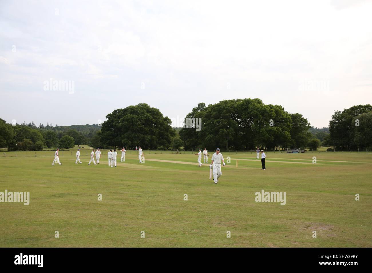 Cricketers playing a match at Bradshaw Cricket Club on the New Forest ...