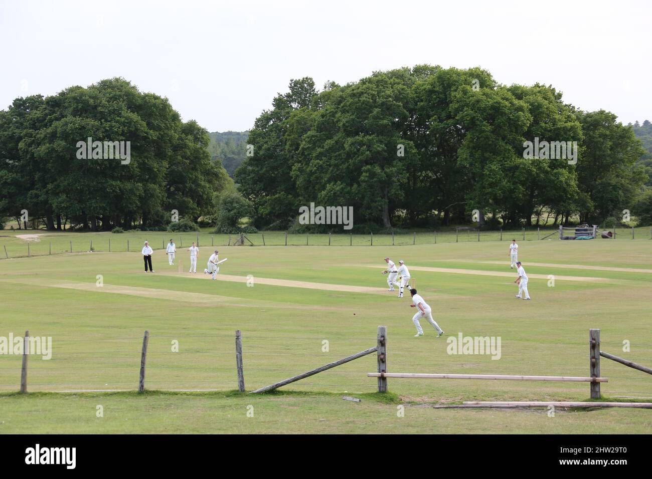 Cricketers playing a match at Bradshaw Cricket Club on the New Forest ...