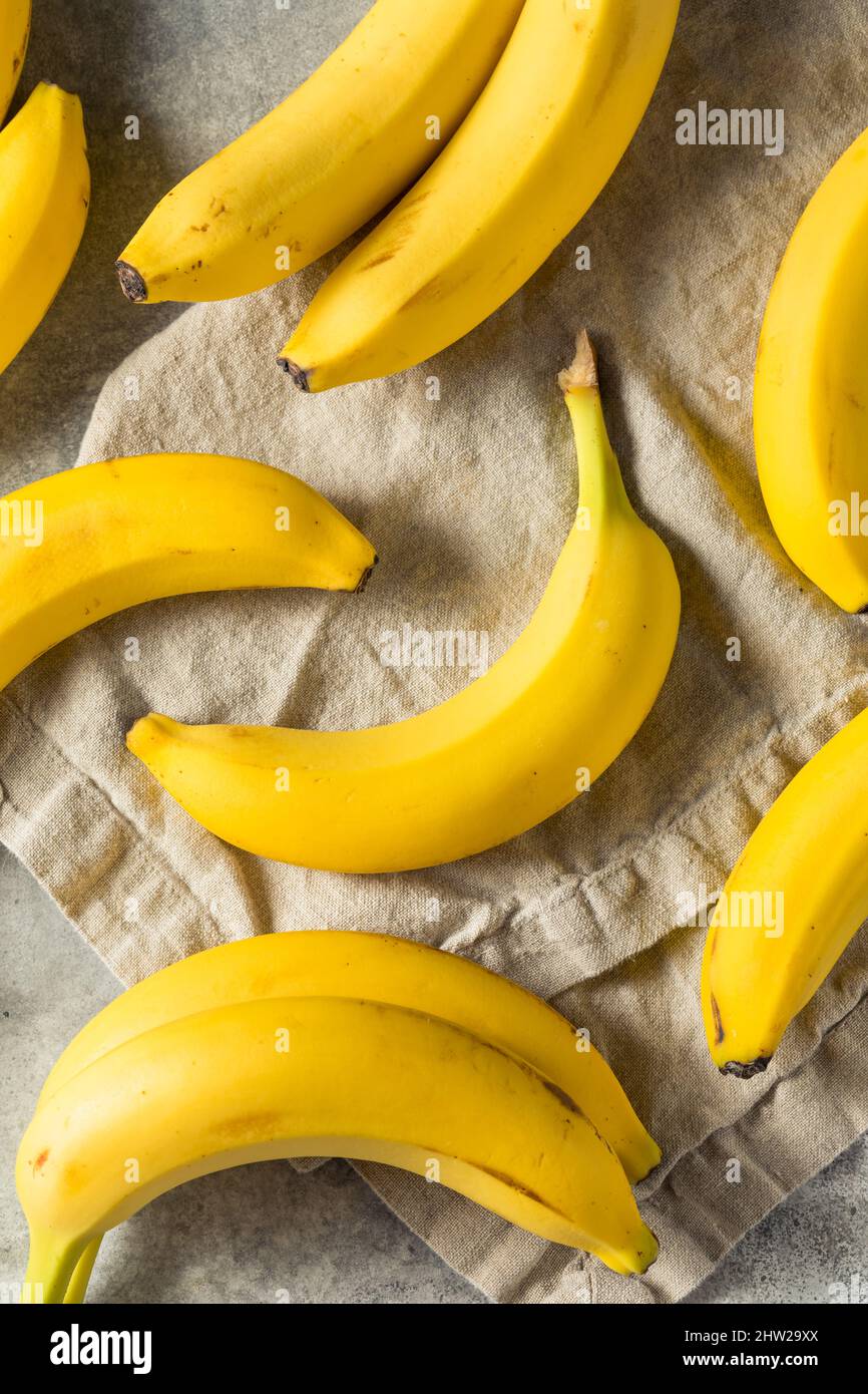 Organic Raw Yellow Banana Bunch Ready to Eat Stock Photo - Alamy Organic Raw Yellow Banana Bunch Ready to Eat Stock Photo - Alamy