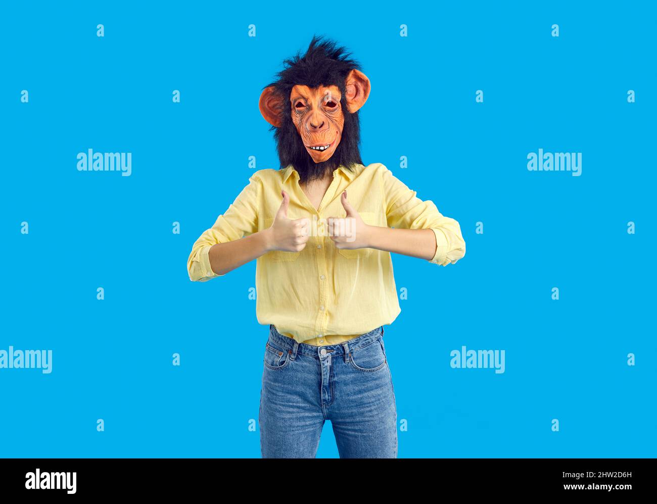 Funny monkey hi-res stock photography and images - Alamy