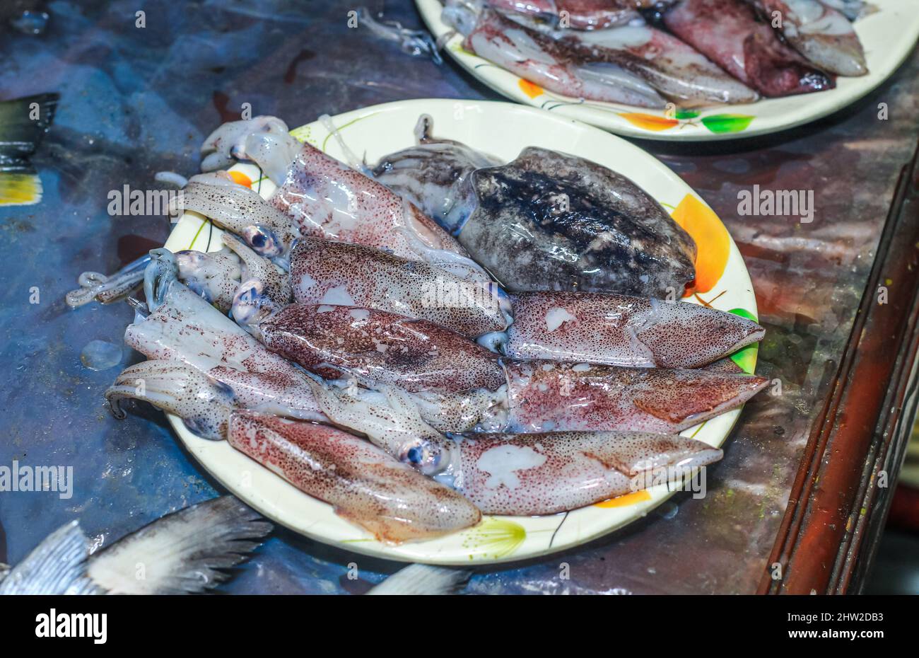 Raw baby squid on plate. Fresh baby octopus on the ice in seafood ...