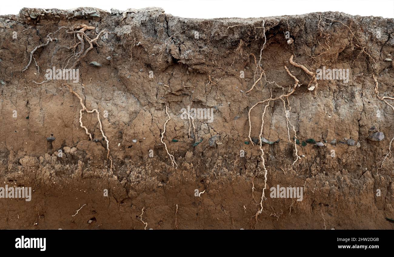 Underground texture hi-res stock photography and images - Alamy