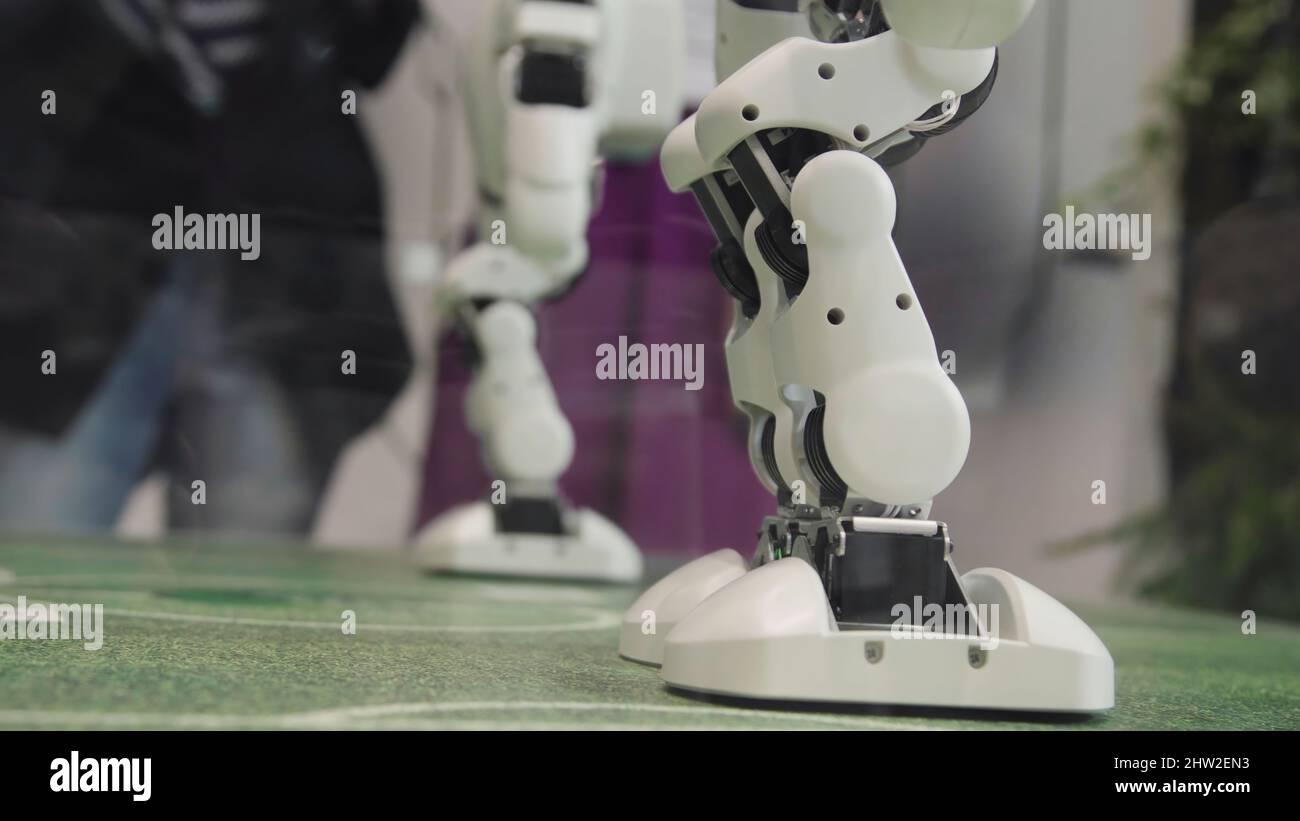 High Technology Future and Science Concept. Smart Humanoid Robots ...