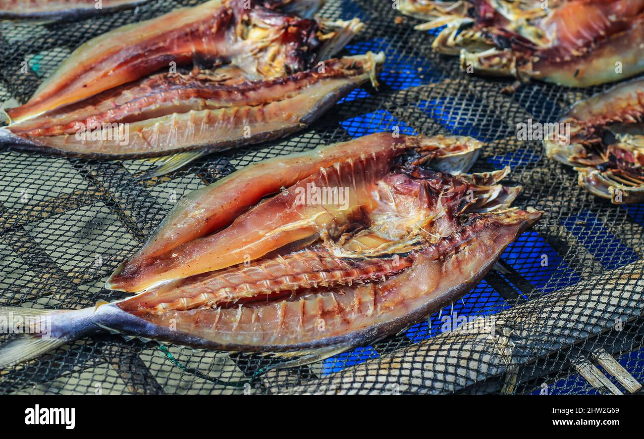 Fish is being prepared by drying in the sun for export abroad. Fish ...