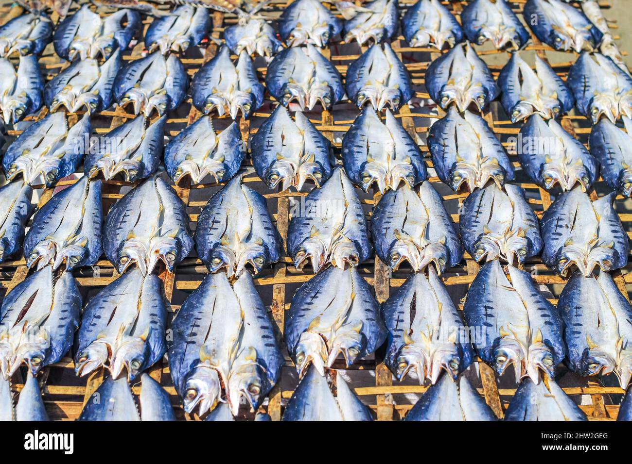 Dry fish market in bangladesh hi-res stock photography and images - Alamy
