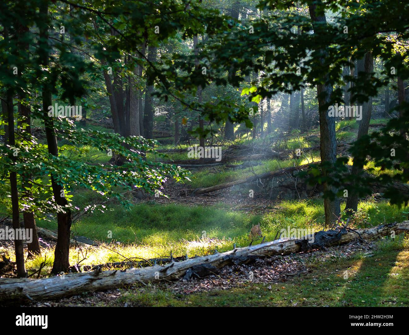 Sunbeam sunbeam sunbeam sunbe hi-res stock photography and images - Alamy