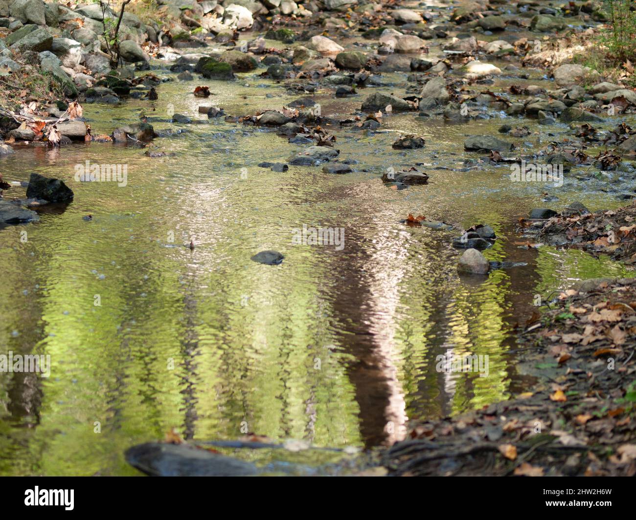 Sunbeam sunbeam sunbeam sunbe hi-res stock photography and images - Alamy