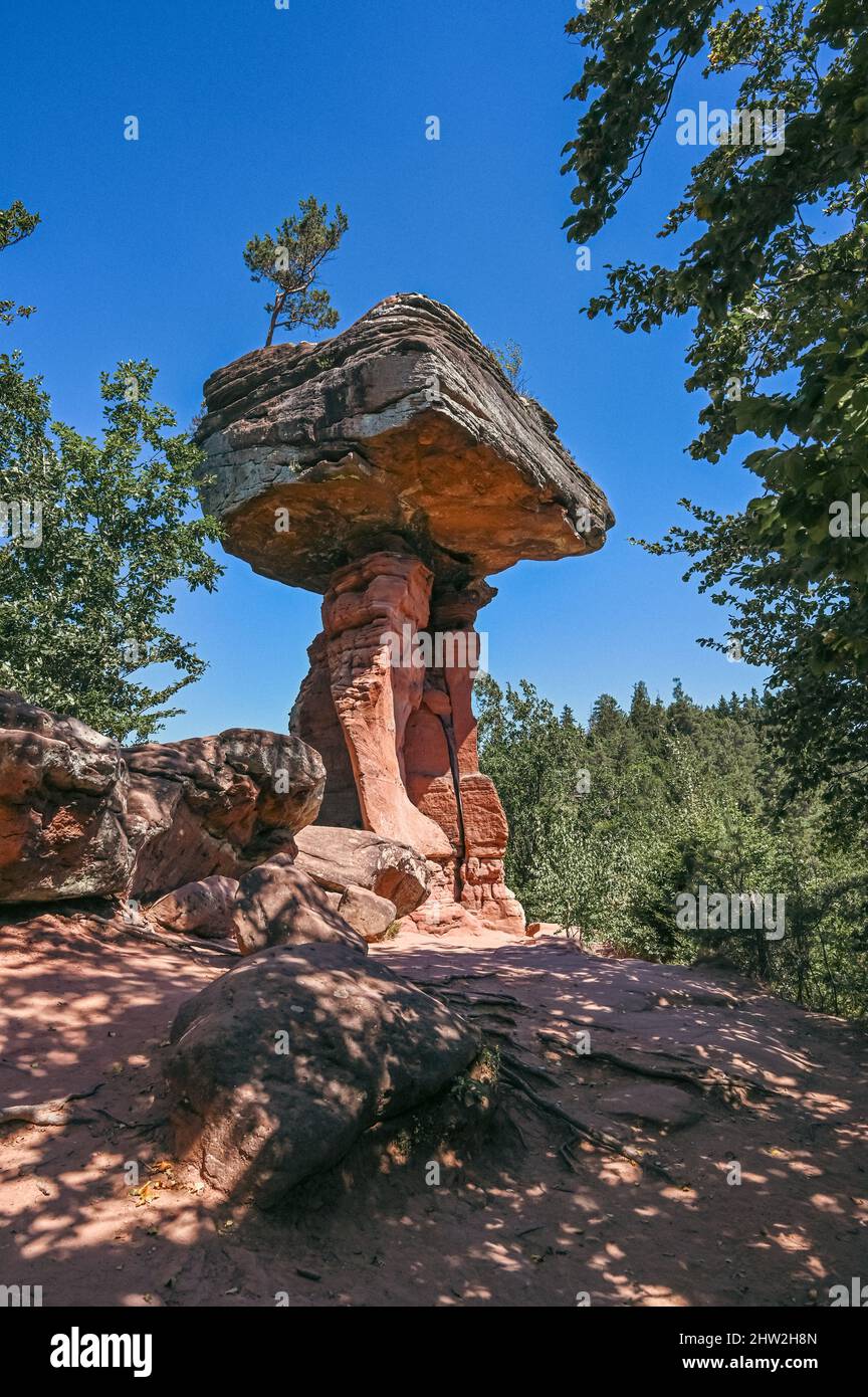 Vertical shot of the blue sky over the Devil's Table (Hinterweidenthal ...