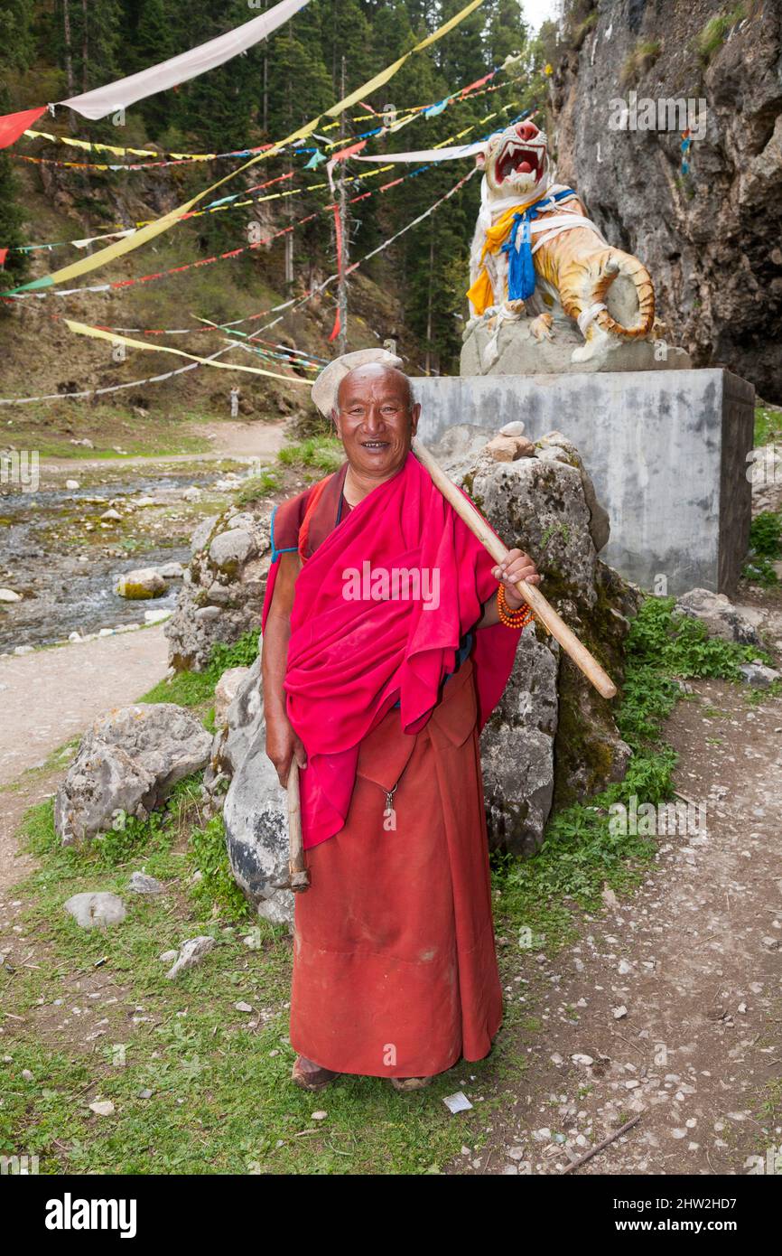Middle aged Buddhist monk of Tibetan heritage, in crimson red robe ...