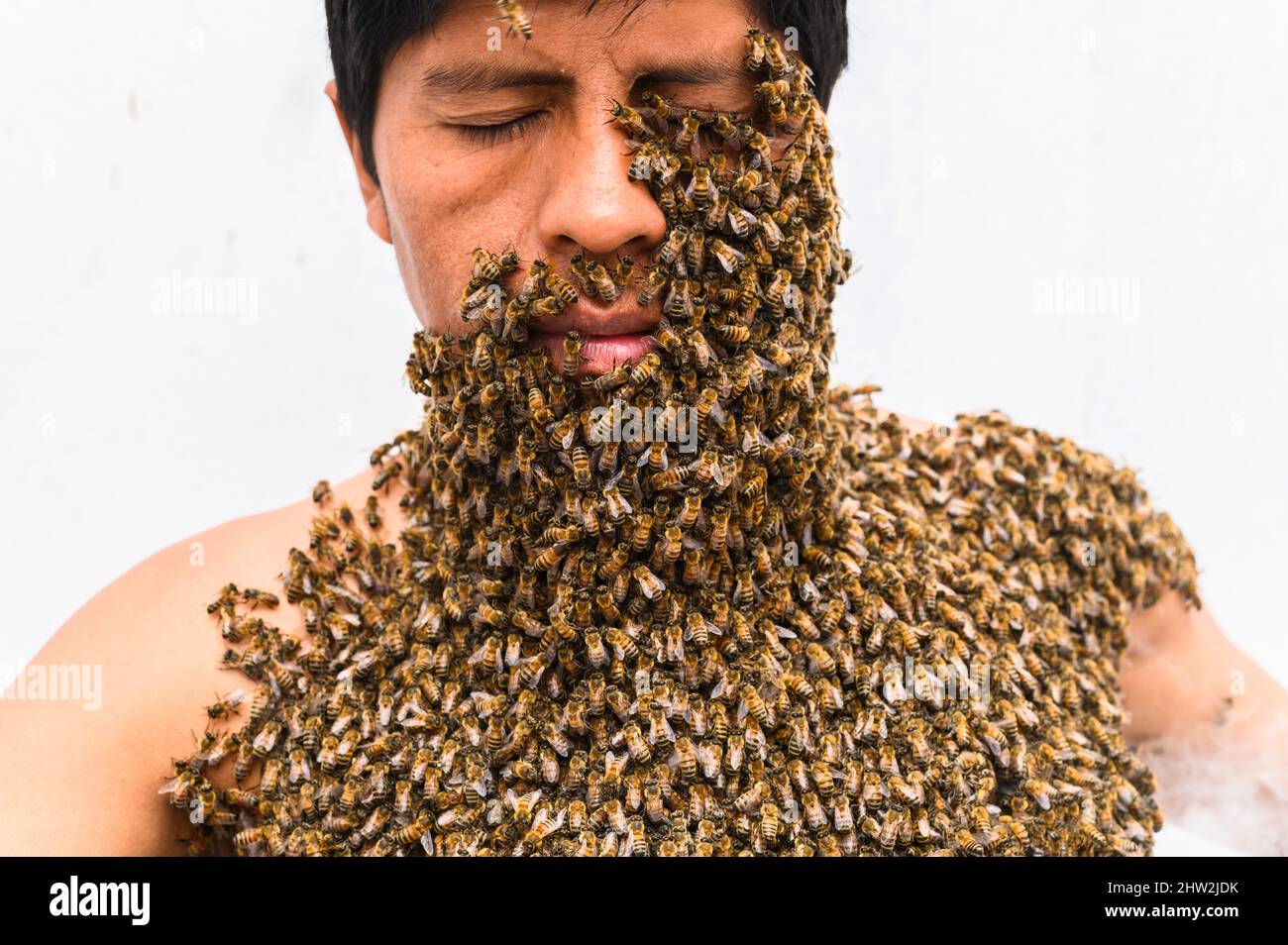 Beehive lid hi-res stock photography and images - Alamy