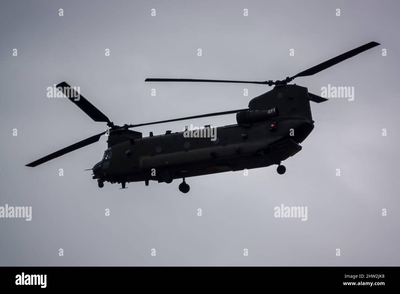 RAF Chinook tandem-rotor CH-47 helicopter flying fast and low in a ...