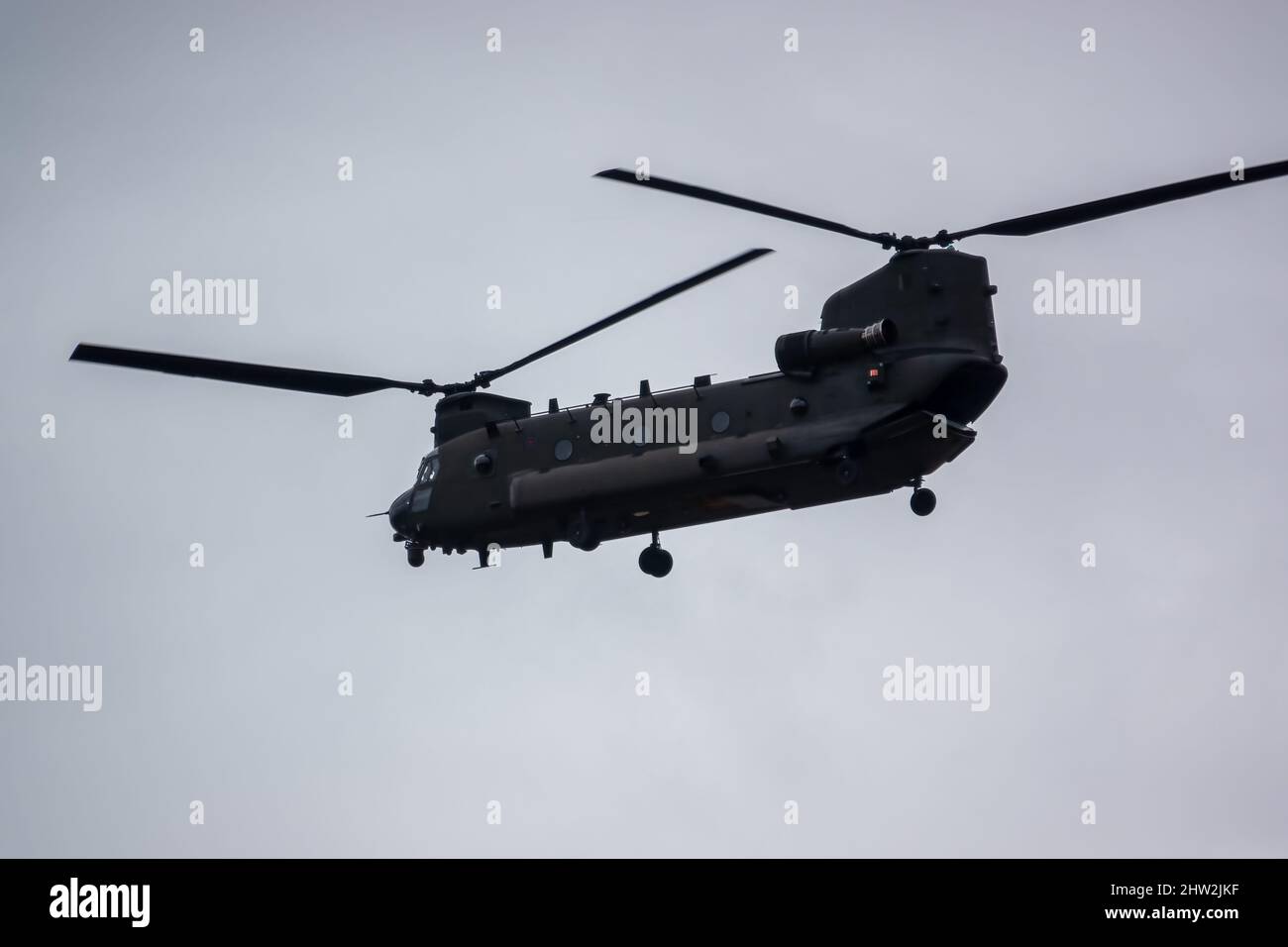 RAF Chinook tandem-rotor CH-47 helicopter flying fast and low in a ...