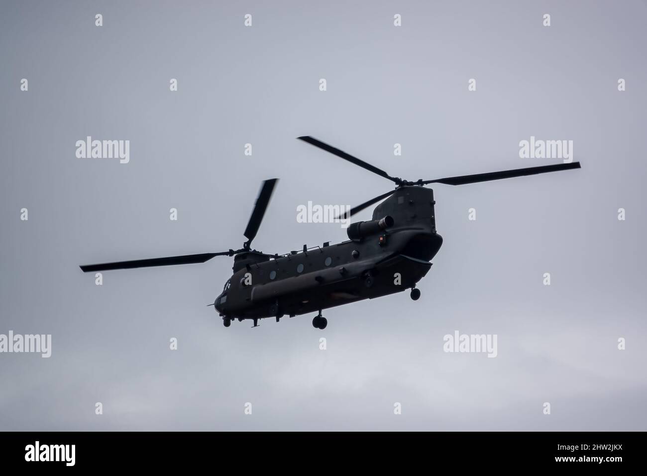 RAF Chinook tandem-rotor CH-47 helicopter flying fast and low in a ...