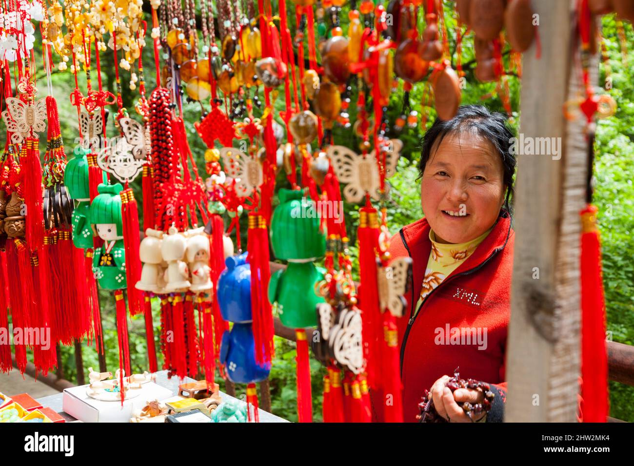 Woman of Tibetan origin / lady stallholder stall holder assistant or ...
