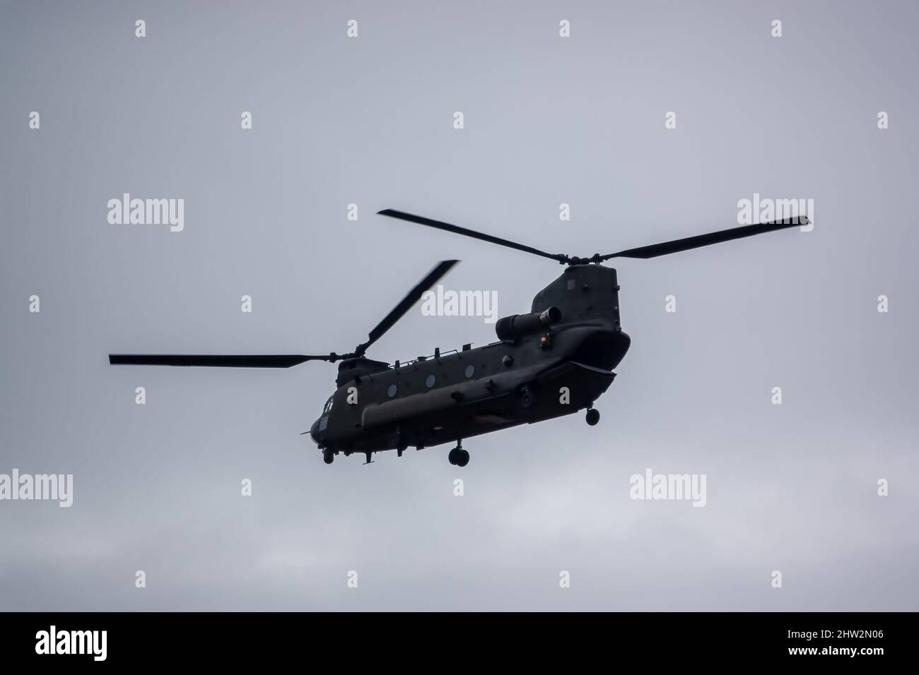 RAF Chinook tandem-rotor CH-47 helicopter flying fast and low in a ...