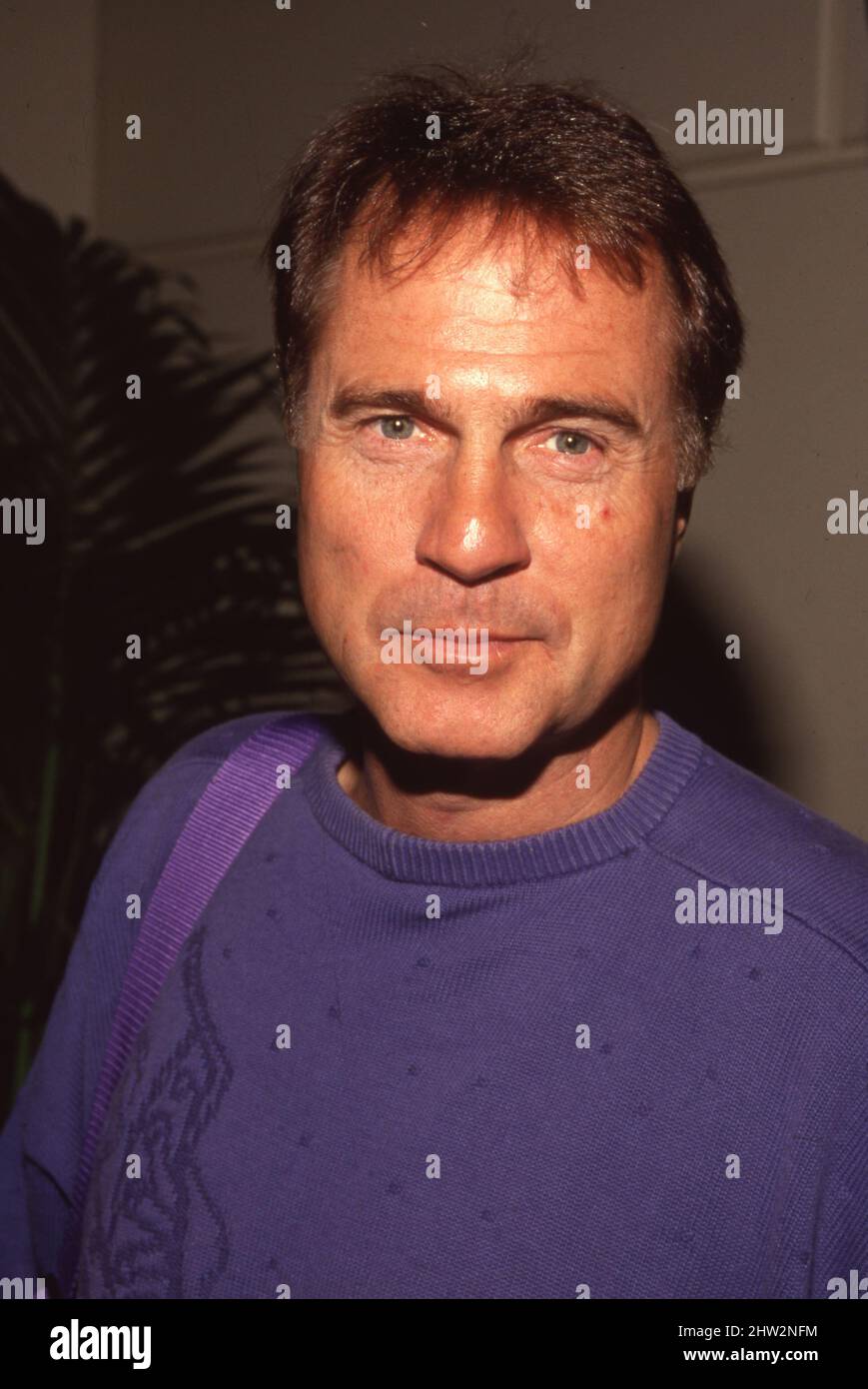 Gil Gerard Circa 1980's Credit: Ralph Dominguez/MediaPunch Stock Photo ...