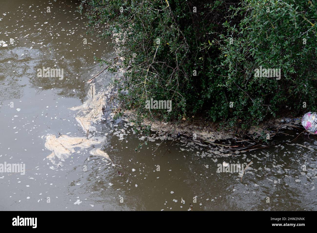Polluted Rivers Uk