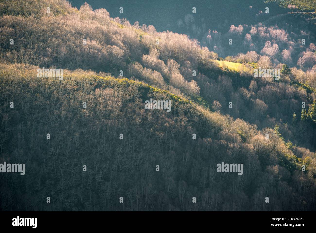 Alternation of forests and meadows on the rounded hills in the Courel ...