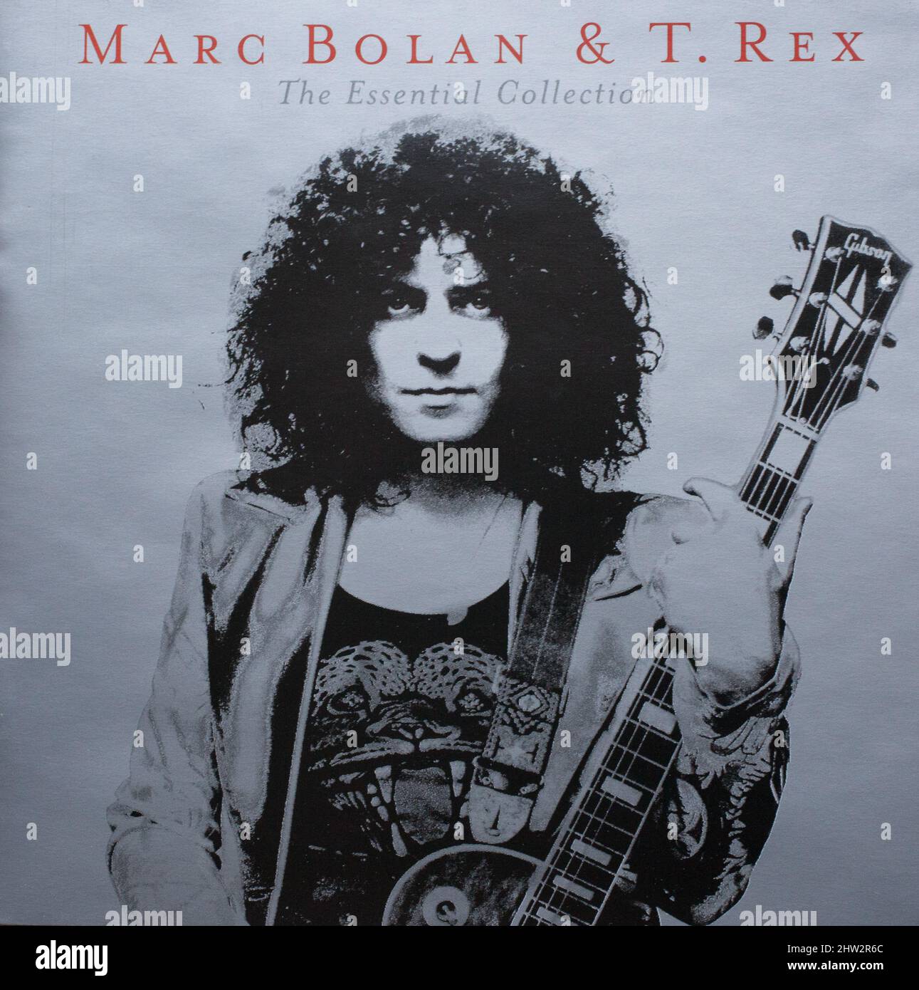 T rex band hi-res stock photography and images - Alamy