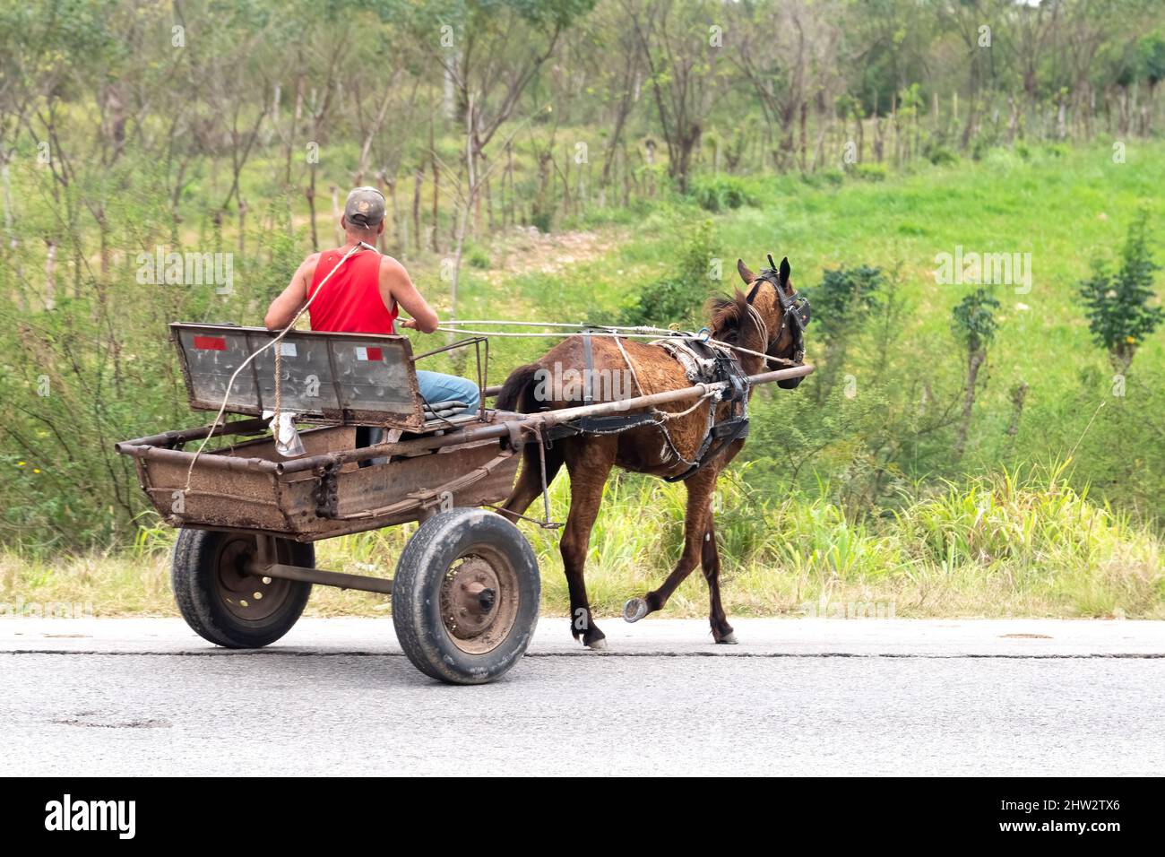 horse car in national highway, cuba Stock Photo - Alamy