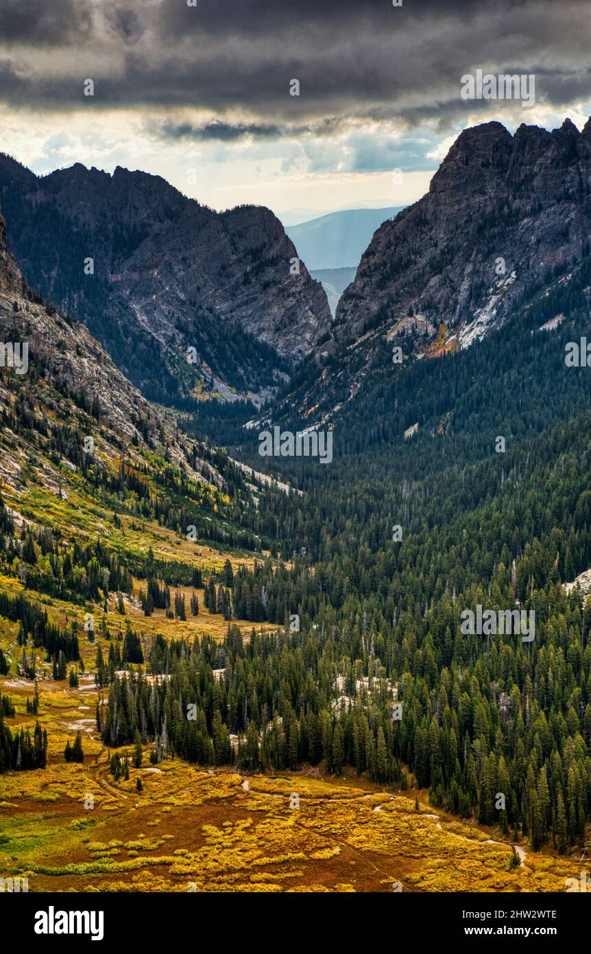 Bird's eye view of the green Death Canyon at Grand Teton National Park ...
