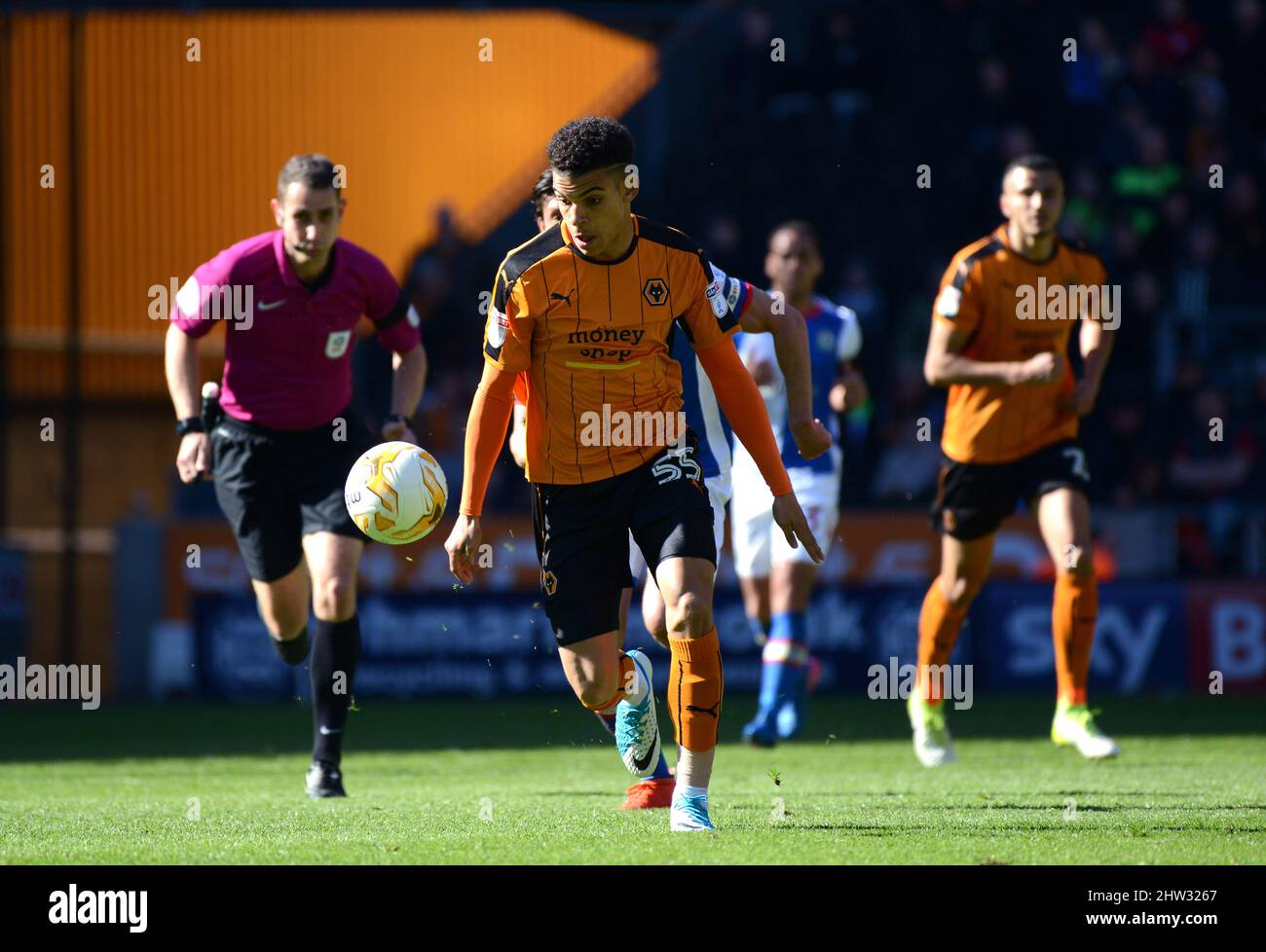 Morgan gibbs white wolves hi-res stock photography and images - Alamy