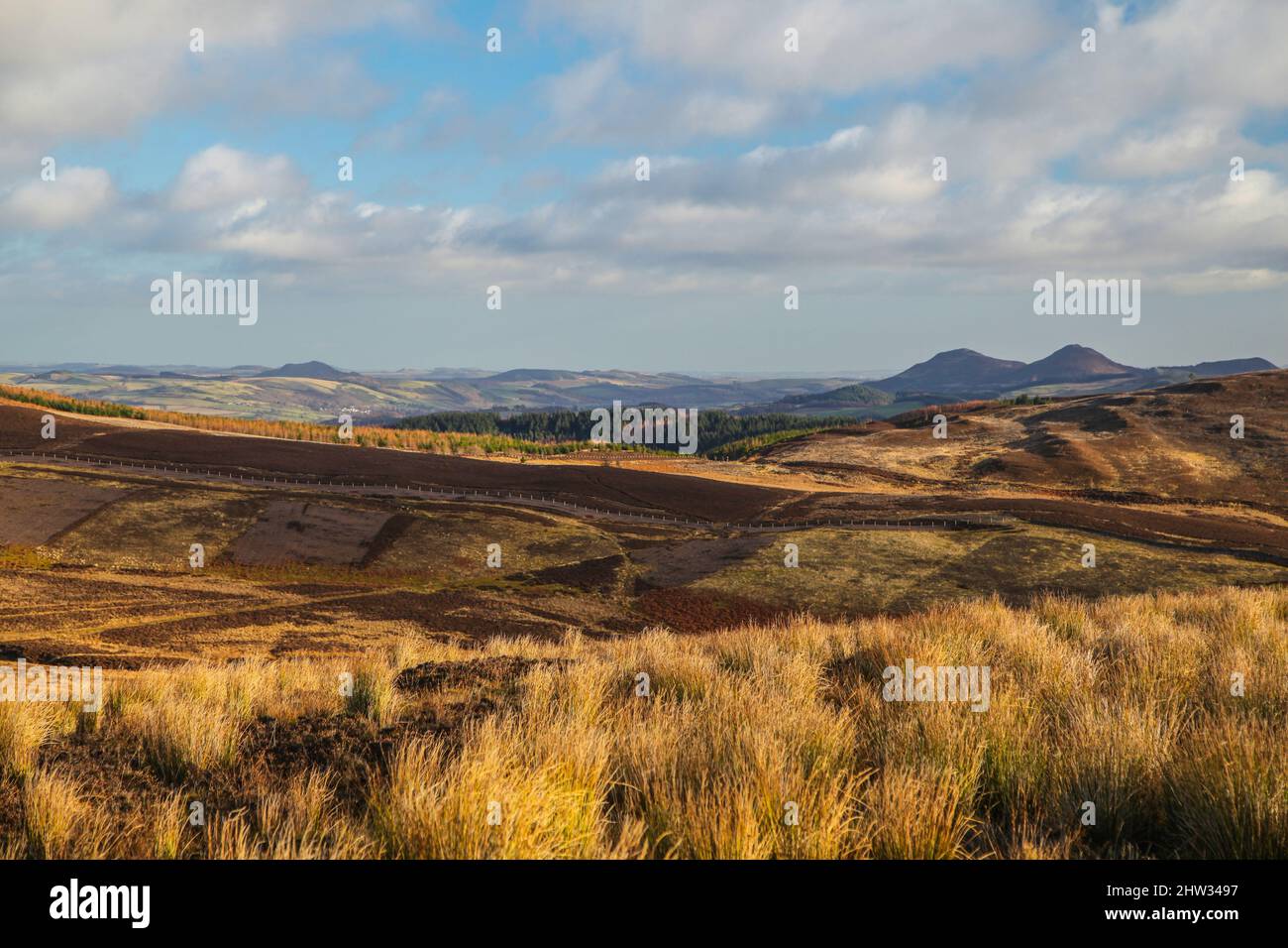 A walk across the Southern Uplands to see the Three Brethren Stock ...