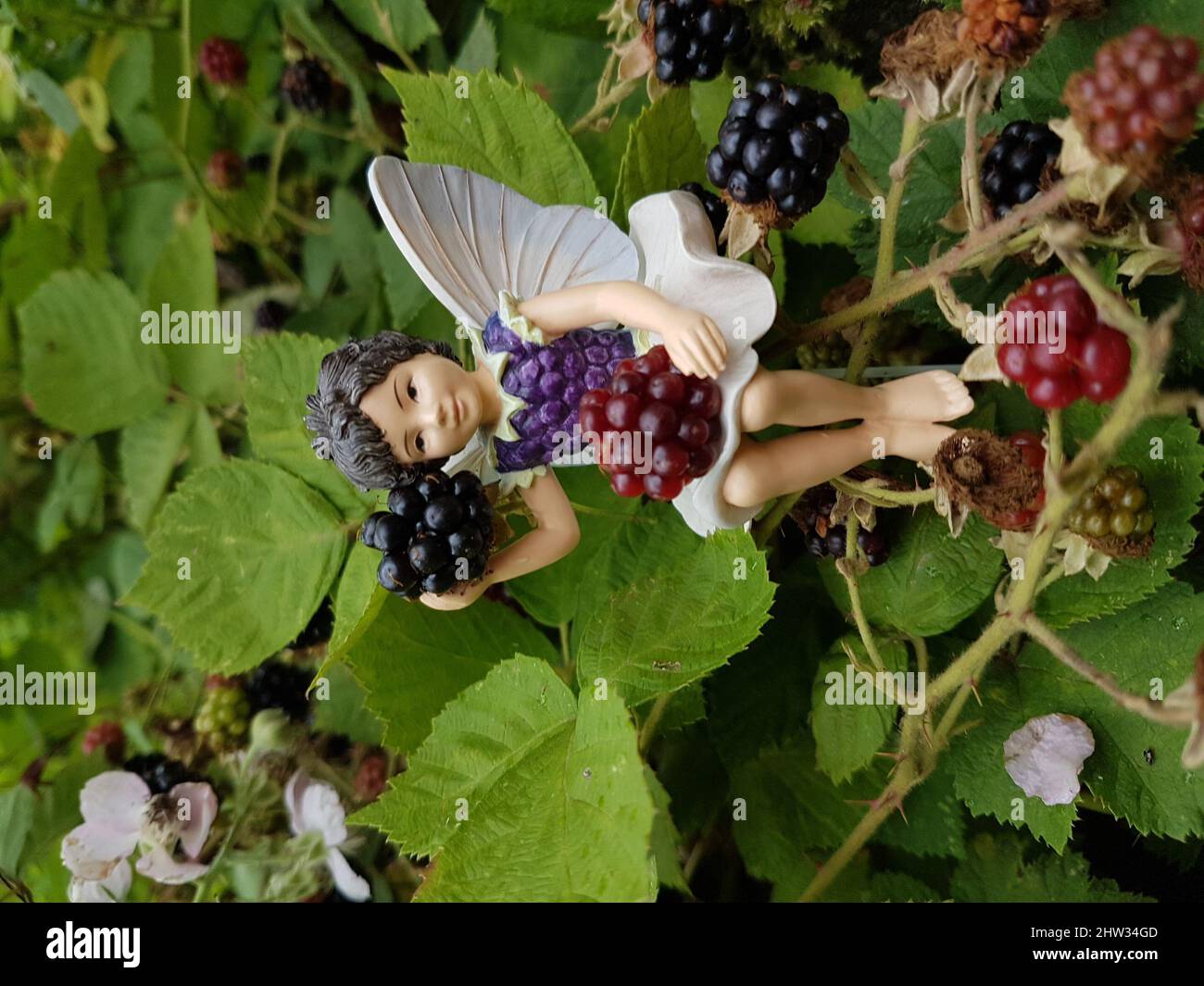 Vertical shot of a cute fairy statue on a raspberry shrub in the garden ...