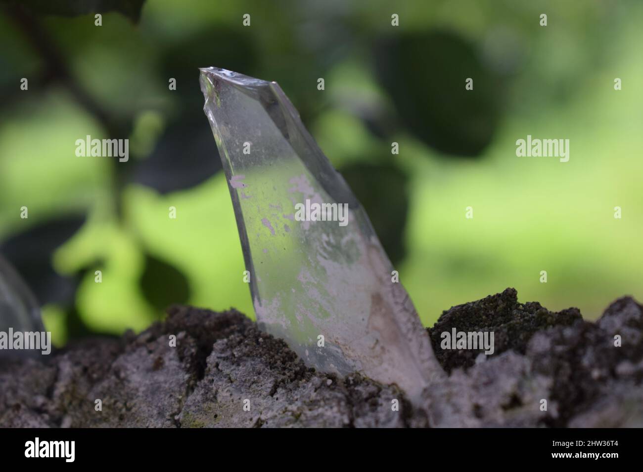 Closeup of a glass shard placed upright in the ground in front of a ...