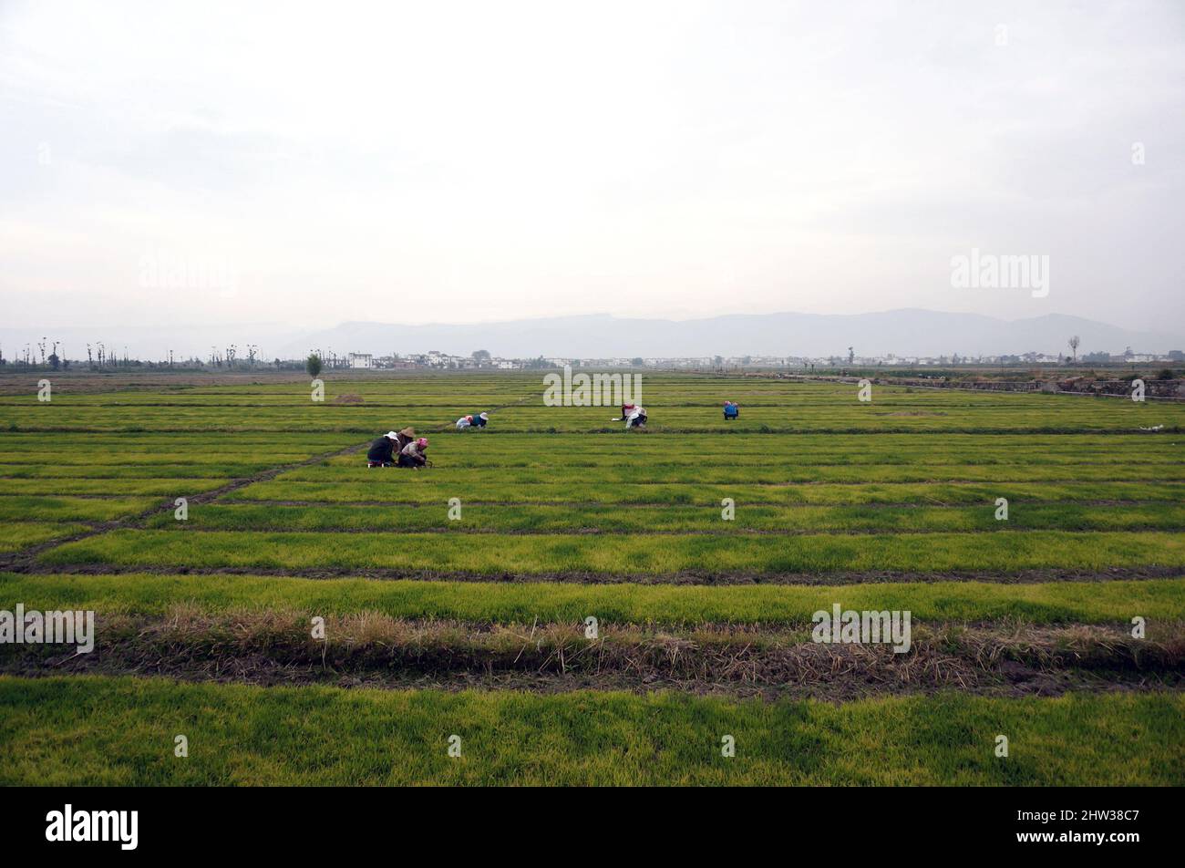 Peasants and workers hi-res stock photography and images - Alamy