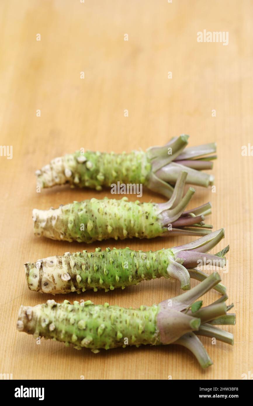 Wasabi (Japanese horseradish) is a Japanese condiment which is used in ...