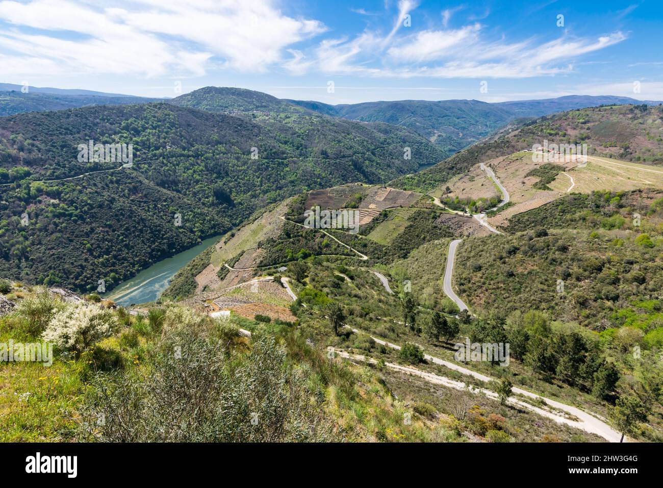 Beautiful scenery of the vineyards in the Ribeira Sacra along the Sil ...