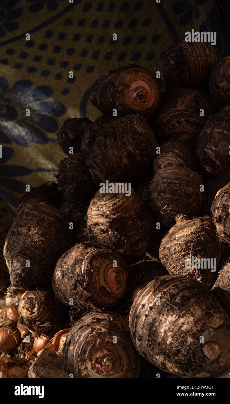 Taro corms hi-res stock photography and images - Alamy