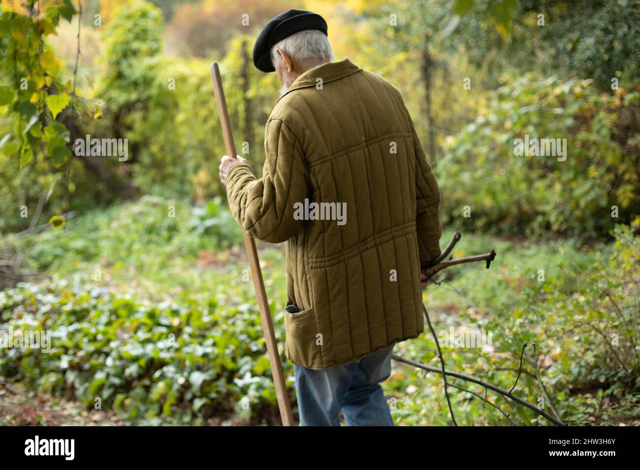 Senior man standing and holding a walking stick hi-res stock ...