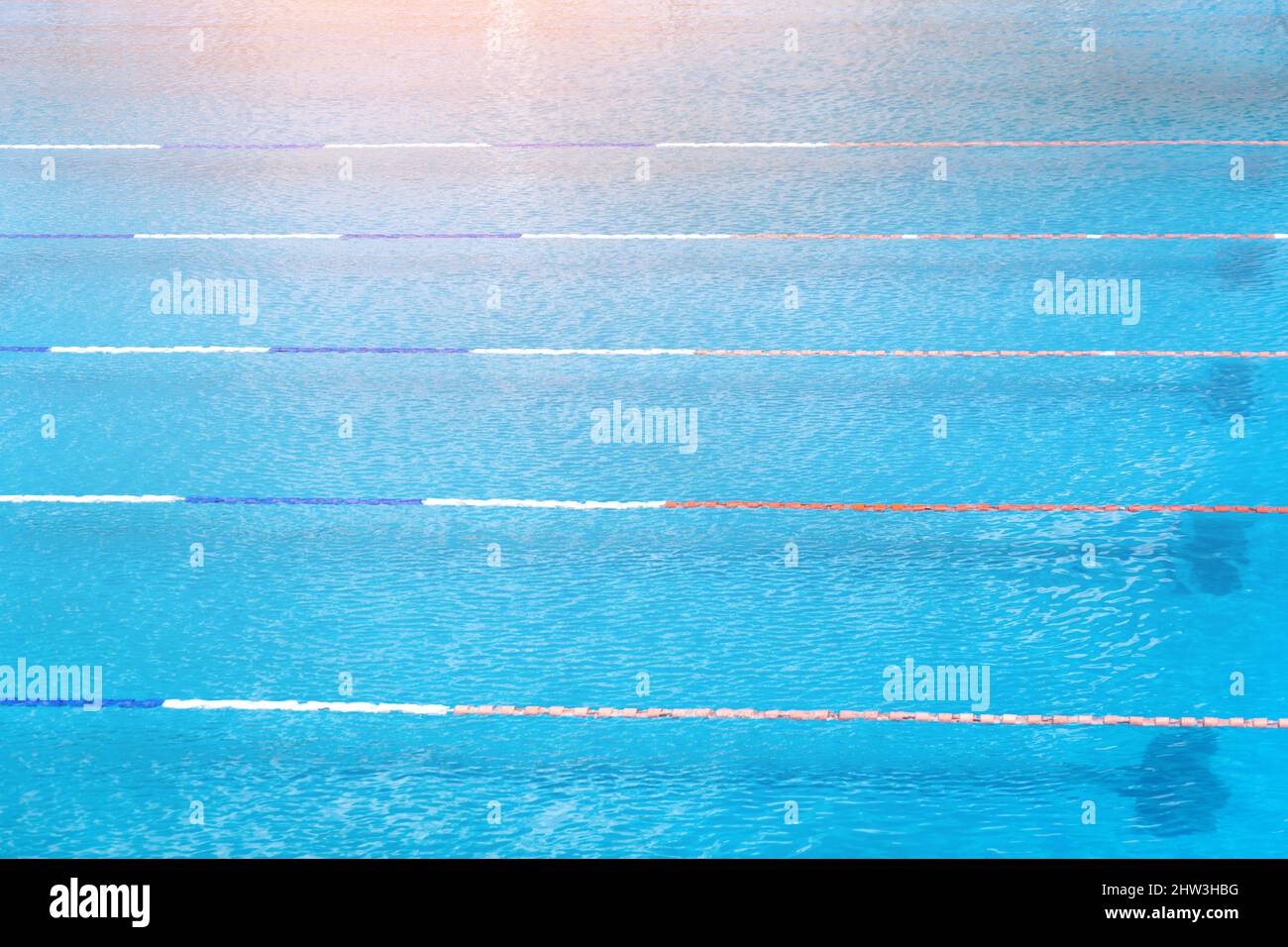 Swimming paths in the sports pool with water Stock Photo - Alamy