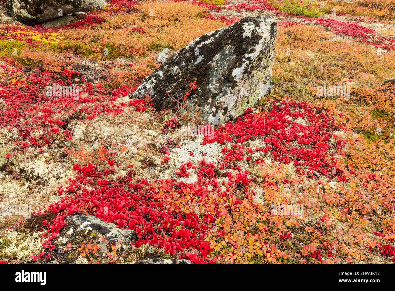 North America; United States; Alaska; Arctic Circle; Brooks Range ...
