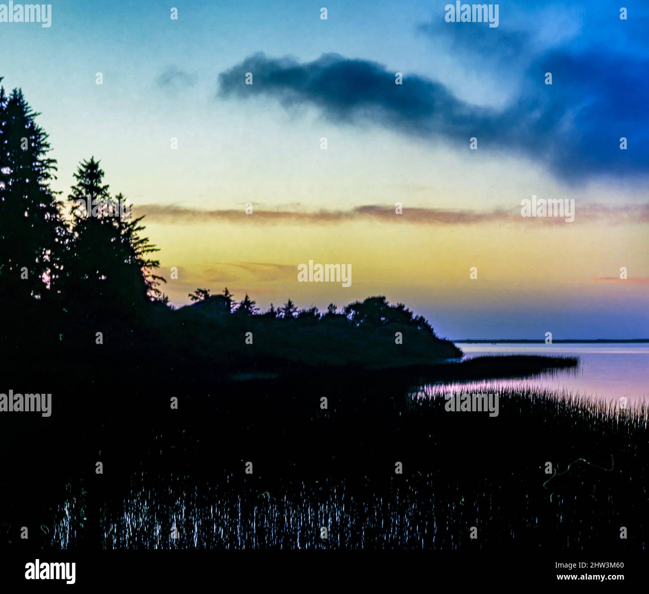 Patricks point hi-res stock photography and images - Alamy