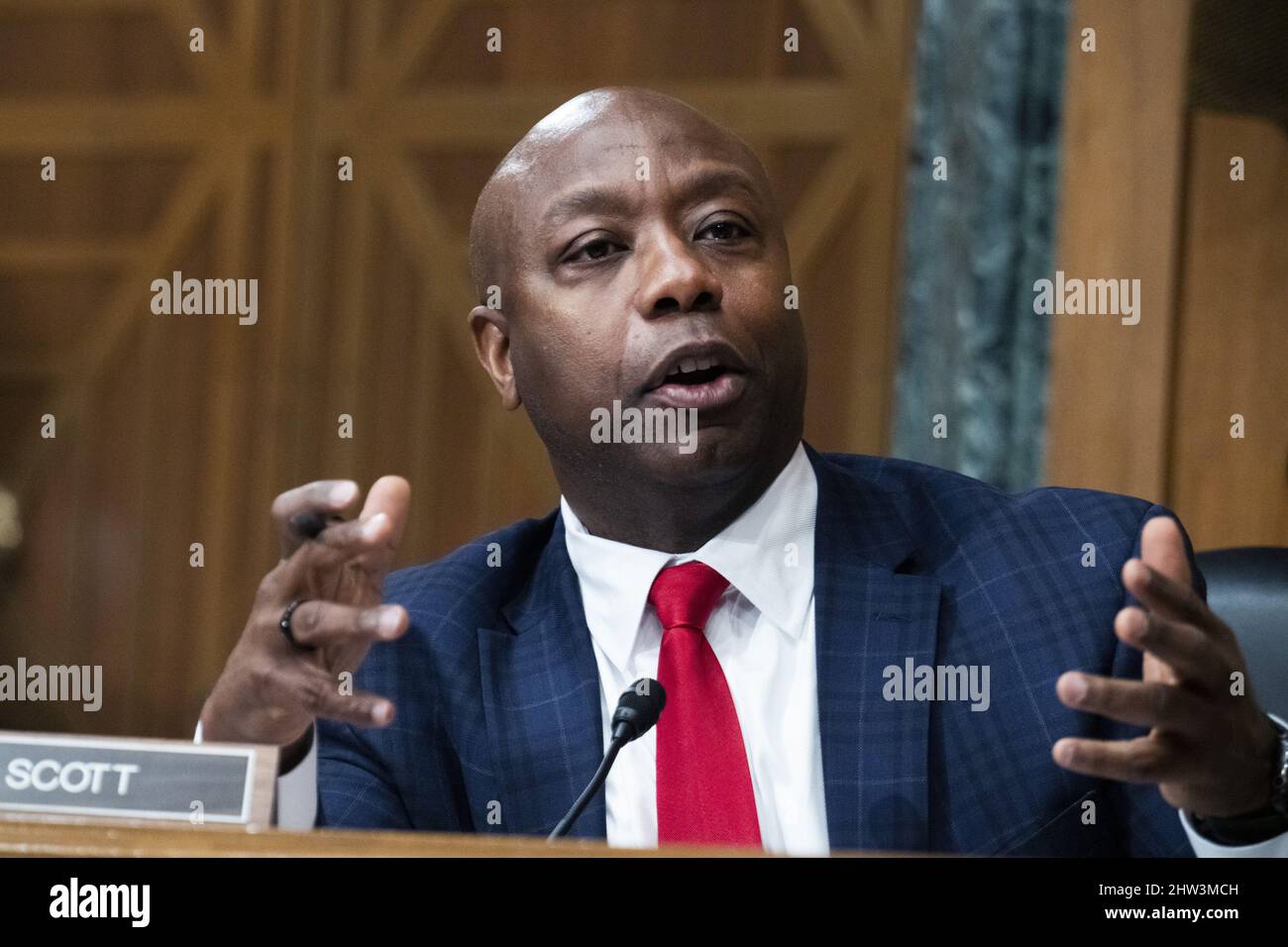 Tim powell hi-res stock photography and images - Alamy