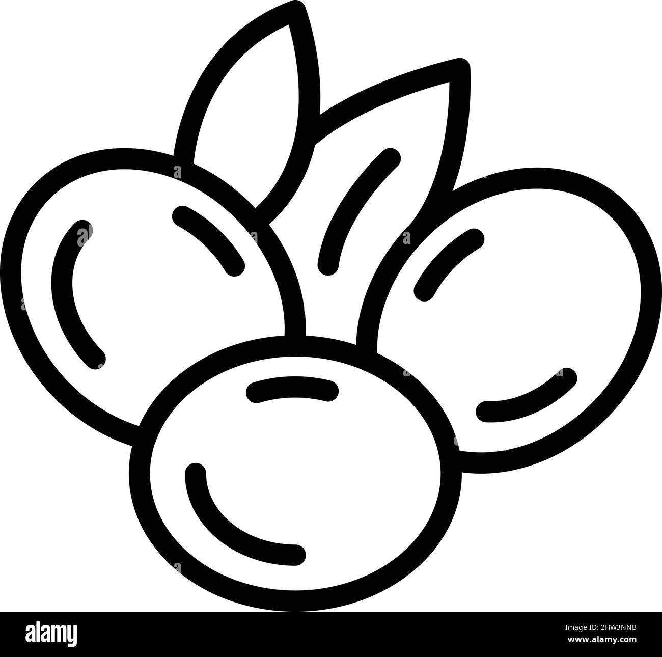 Vegetal nut icon outline vector. Vegetable milk. Almond soy Stock ...