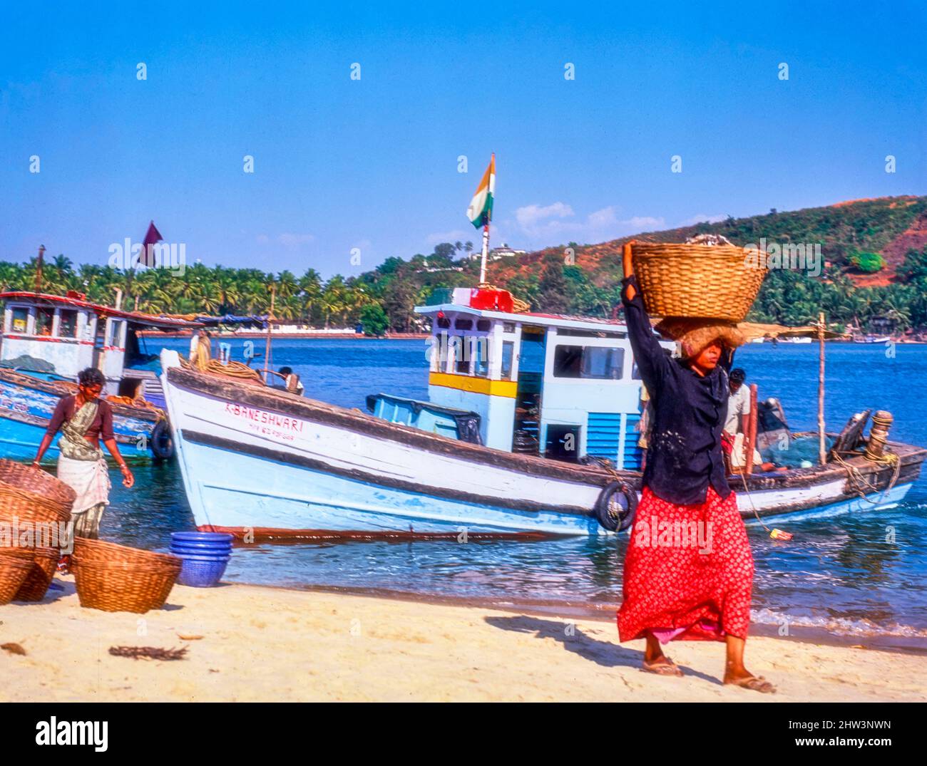 The catch, sustainable commercial fishing in Goa, India. Beachside ...