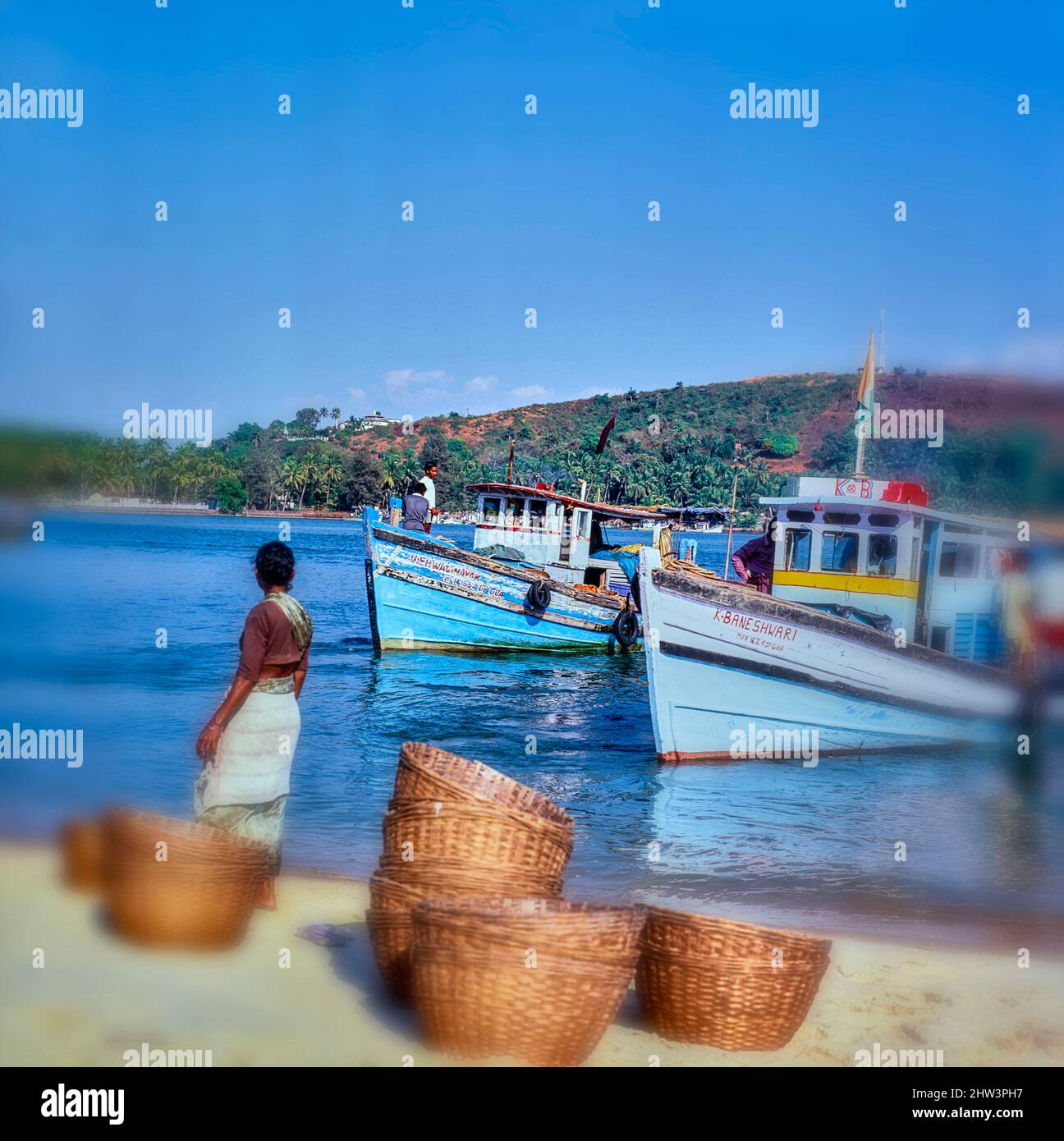 The catch, sustainable commercial fishing in Goa, India. Beachside ...