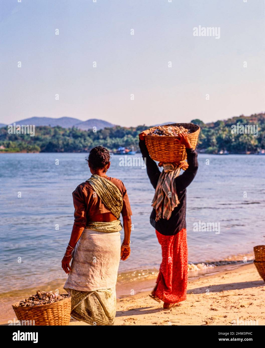 The catch, sustainable commercial fishing in Goa, India. Beachside ...
