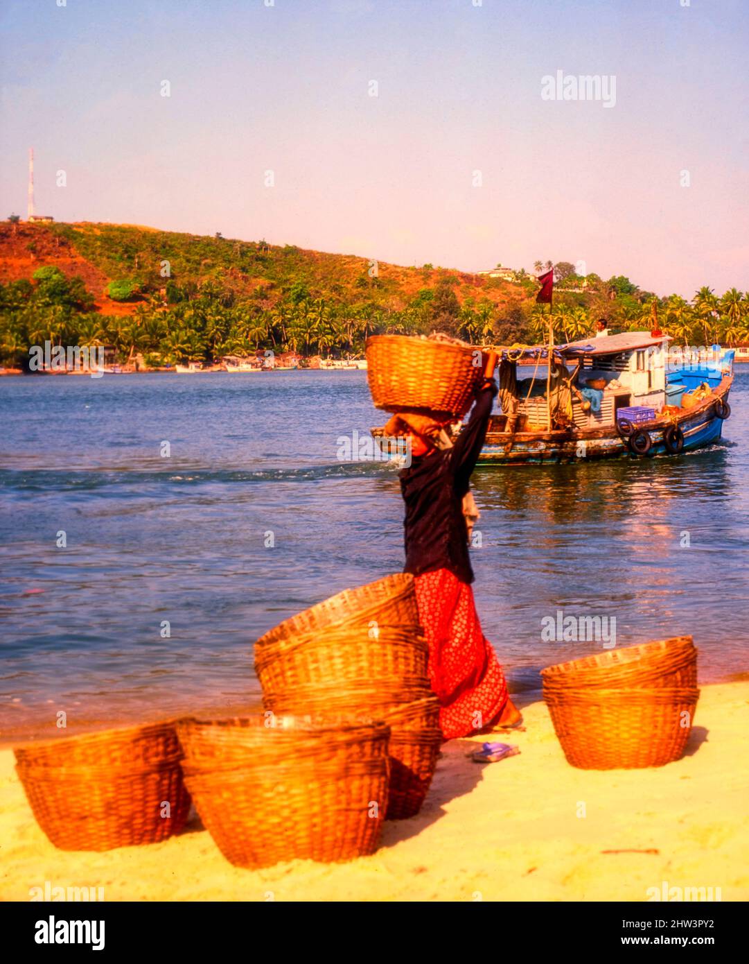 The catch, sustainable commercial fishing in Goa, India. Beachside ...